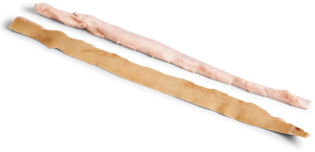 Frozen Pork Back Fat Strips - Frozen Pork Exporters